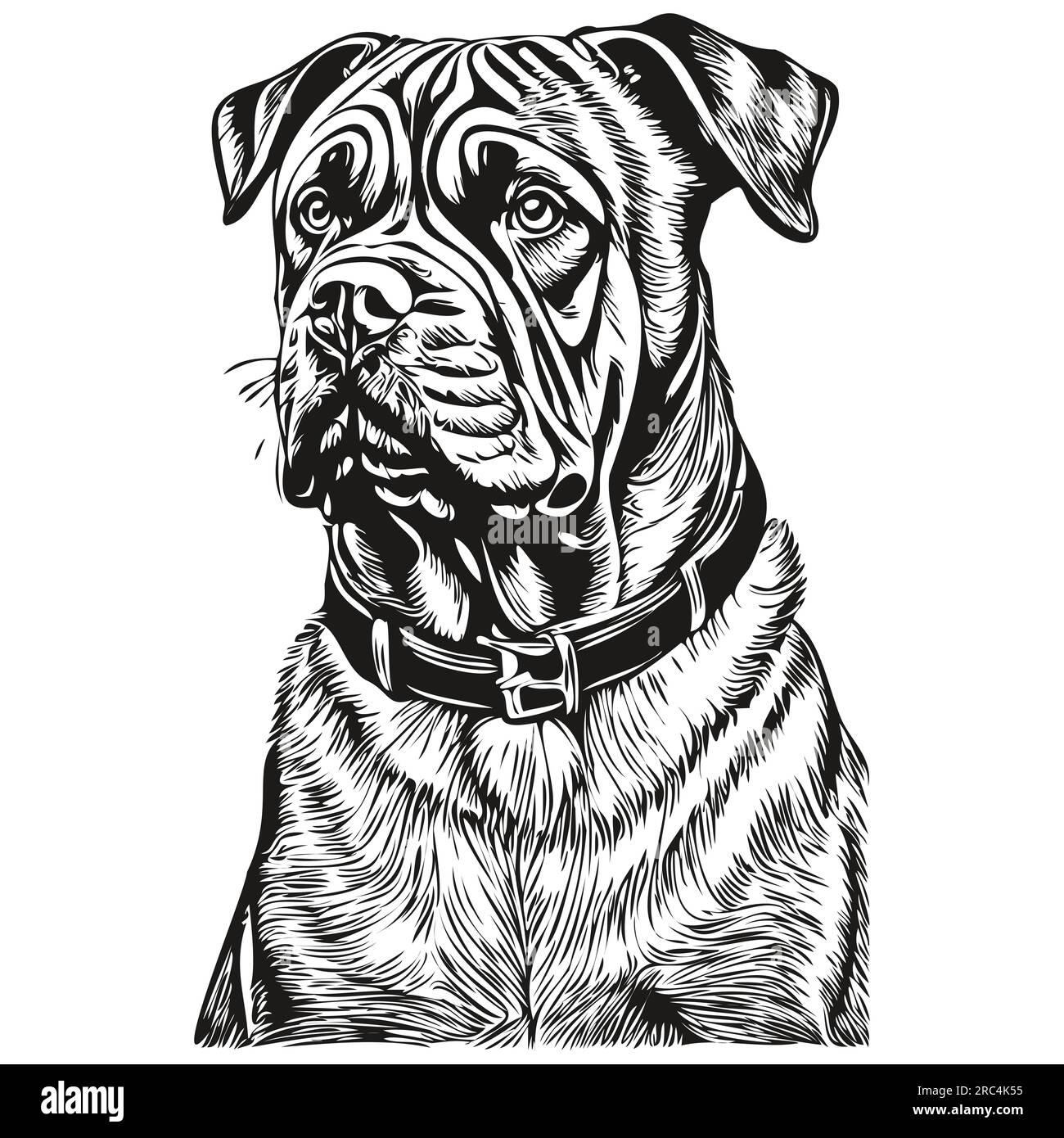 Neapolitan painting Cut Out Stock Images & Pictures - Alamy