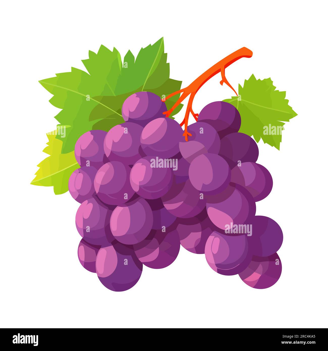 Grape icon isolated. Bunch of wine grapes with leaf. Grape image in ...