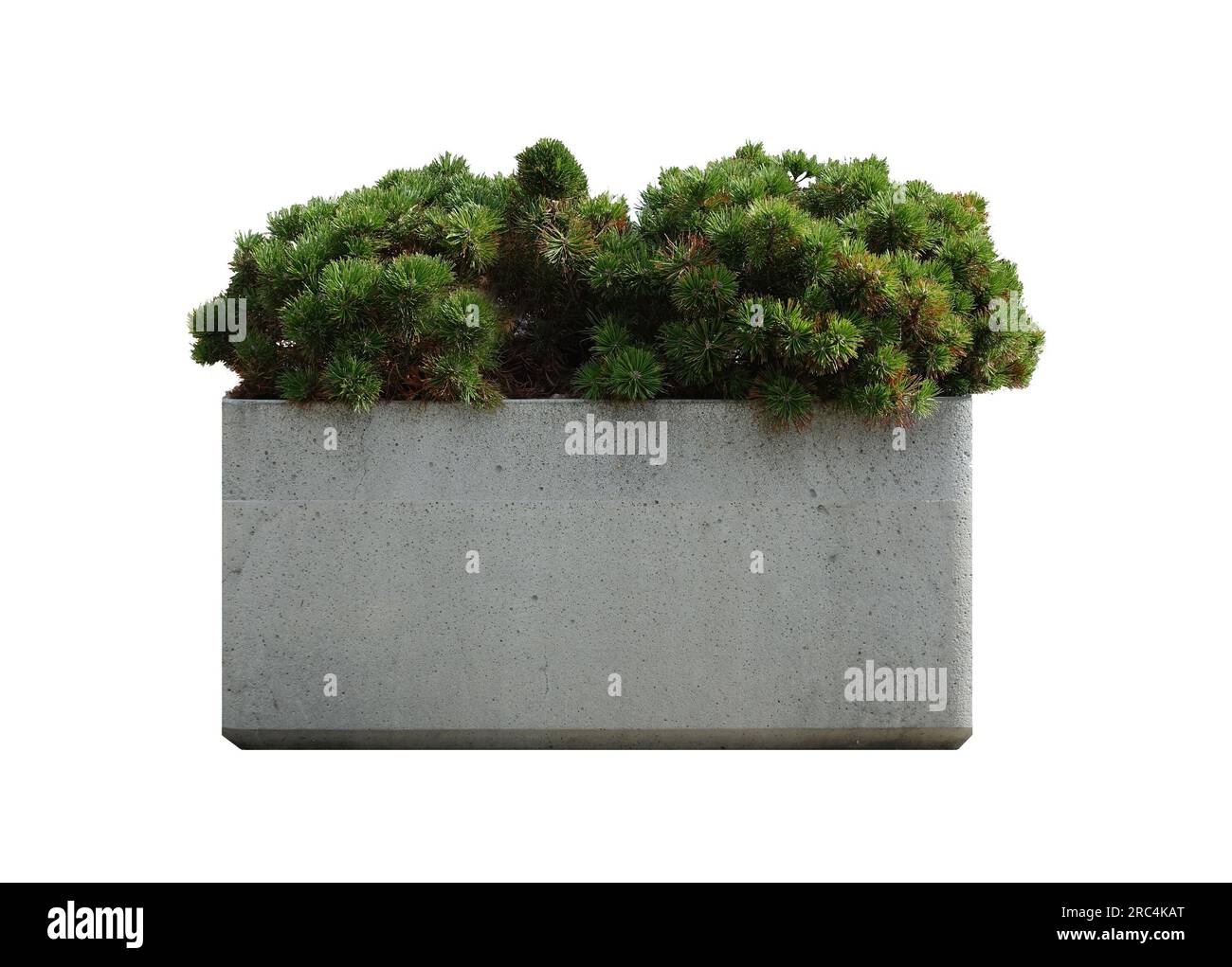 Landscape design garden decorative Cut Out Stock Images & Pictures - Alamy