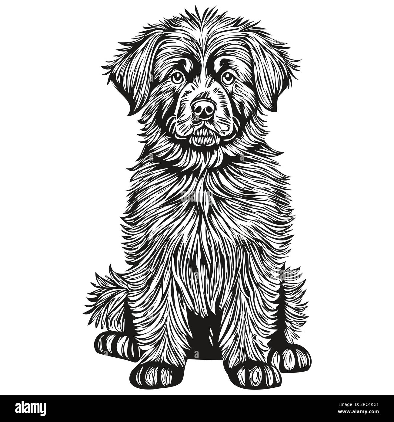 Newfoundland Outline Tattoos