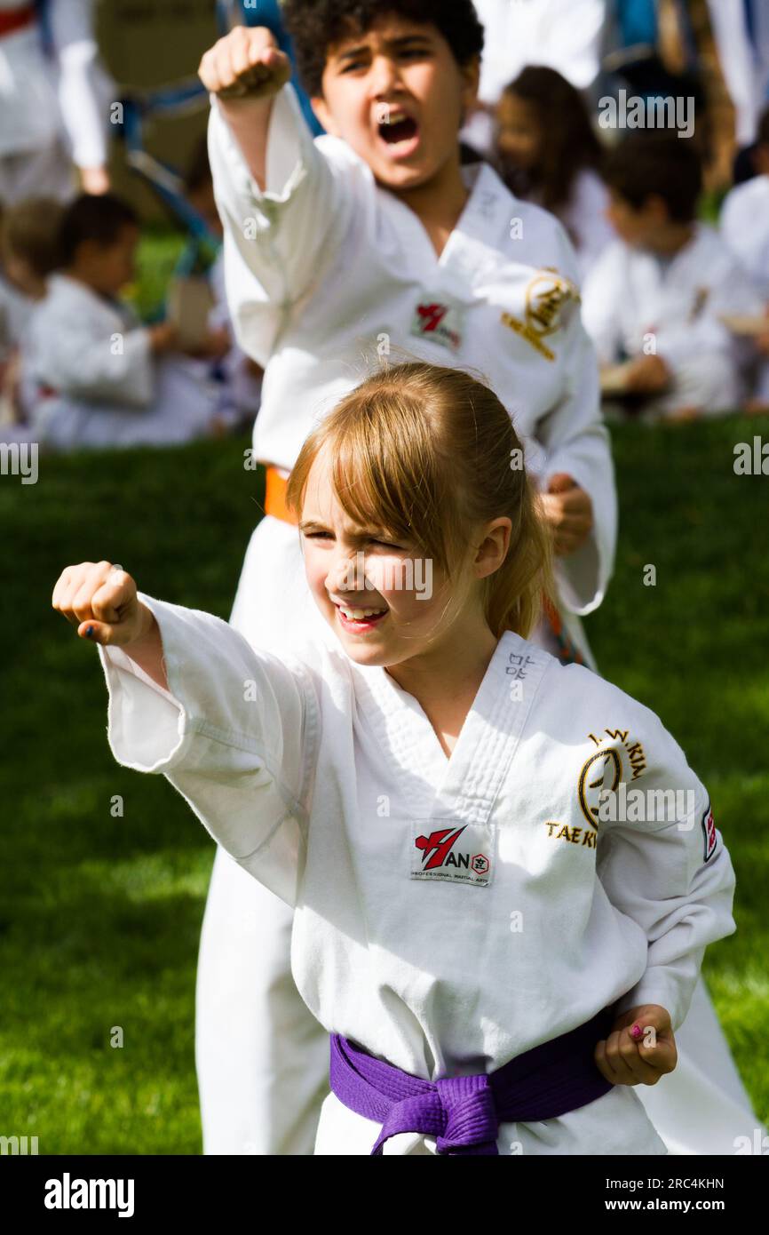 Tae Kwon Do Stock Photo - Alamy