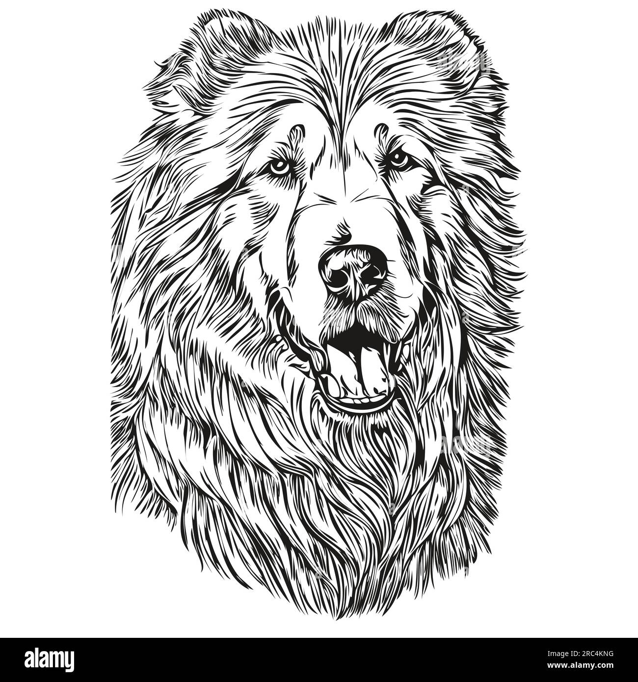 Pet vector art Stock Vector Images - Alamy