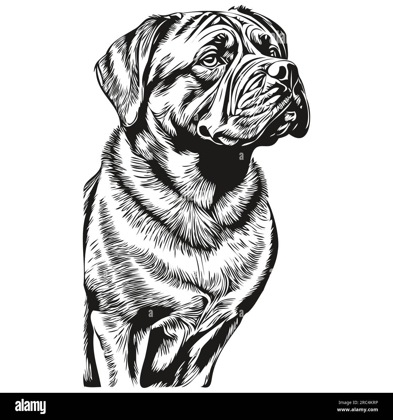 Neapolitan painting Cut Out Stock Images & Pictures - Alamy