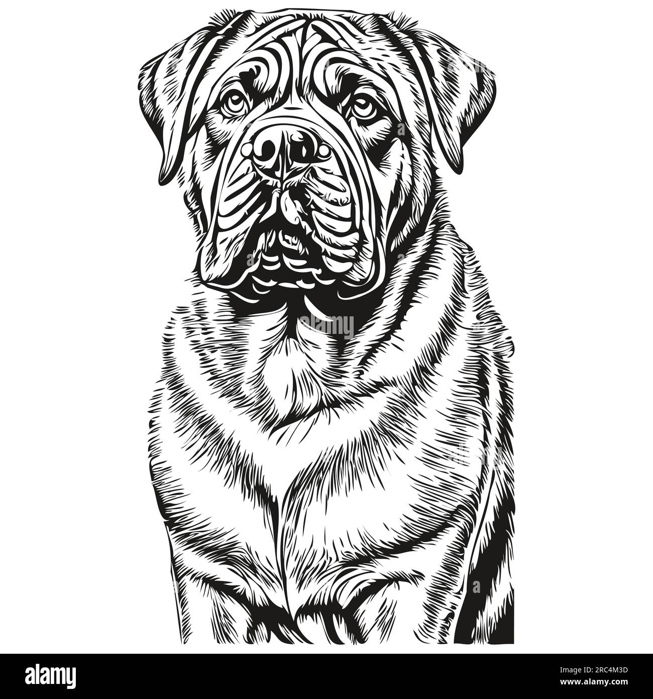 Neapolitan painting Cut Out Stock Images & Pictures - Alamy