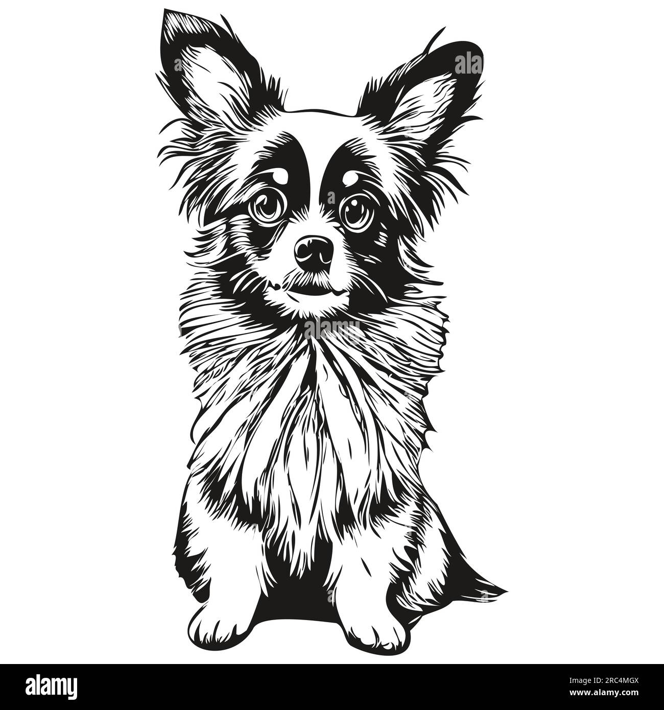 Papillon dog portrait Stock Vector Images - Alamy