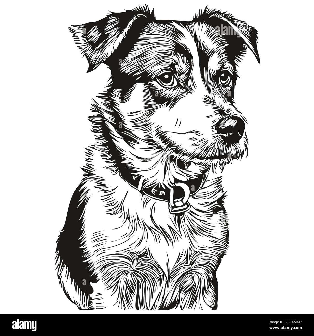 Portrait parson russell terrier Stock Vector Images - Alamy