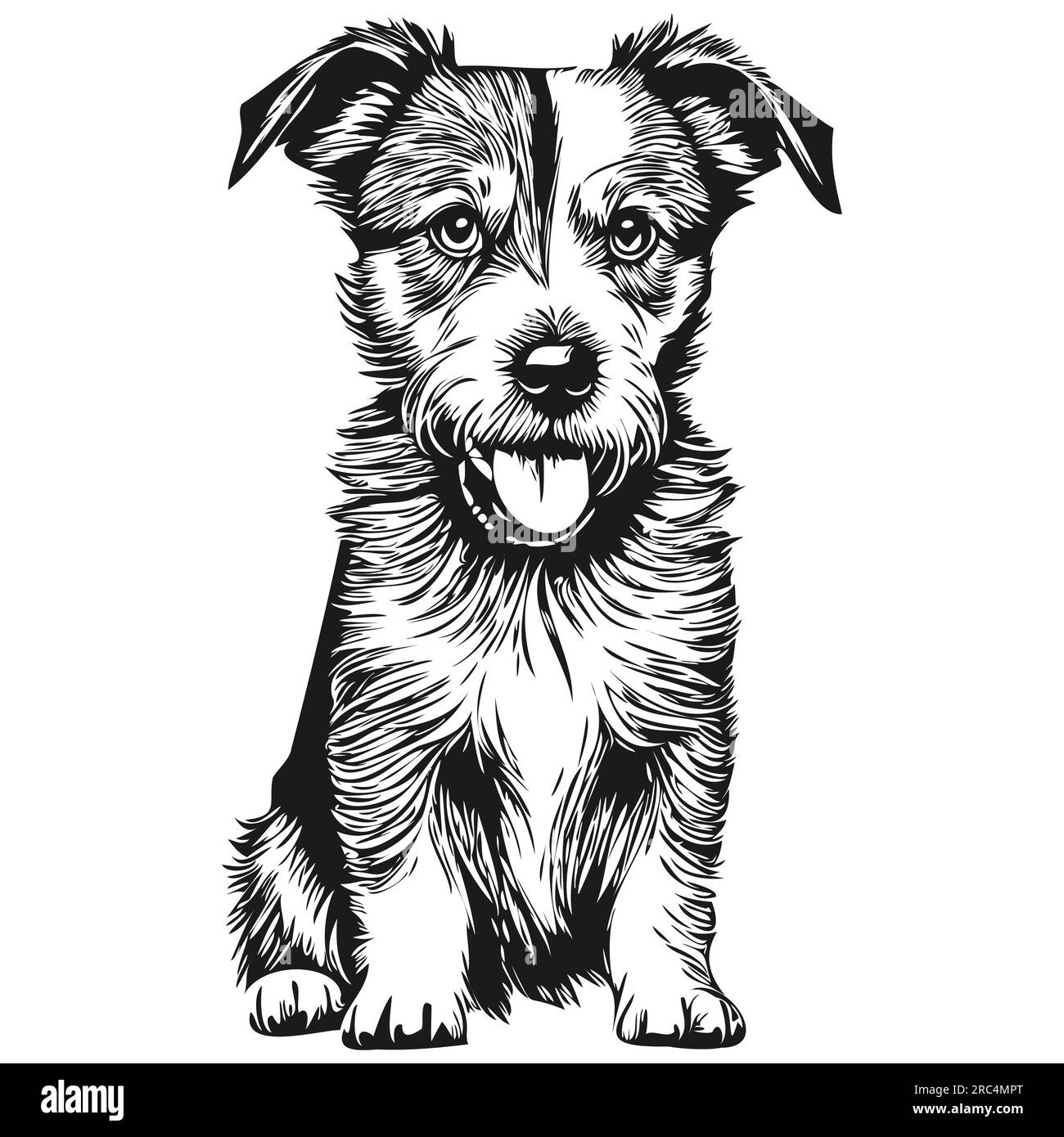 Portrait parson russell terrier Stock Vector Images - Alamy