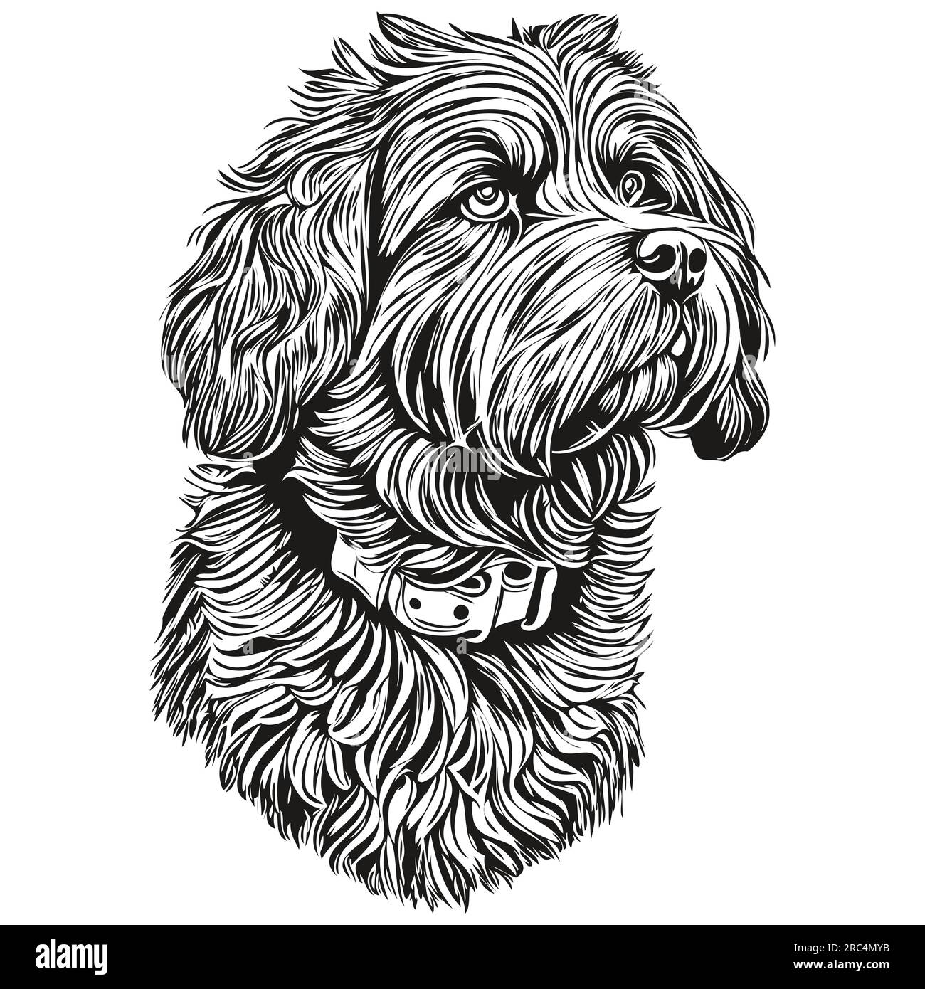 Portuguese water dog portrait Stock Vector Images - Alamy