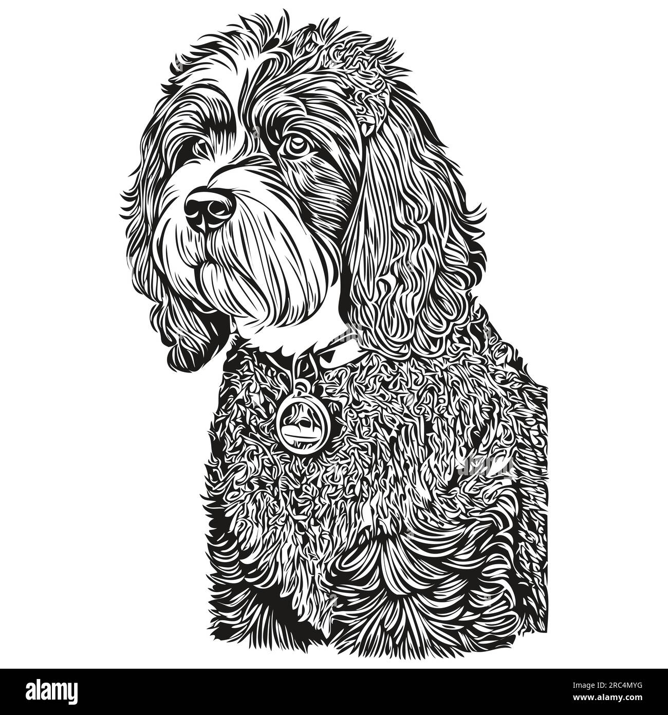 Portuguese water dog portrait Stock Vector Images - Alamy