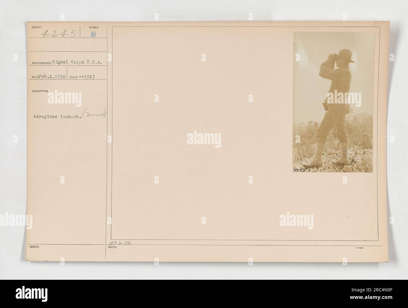 A Marine aeroplane lookout scans the skies during World War One. This ...