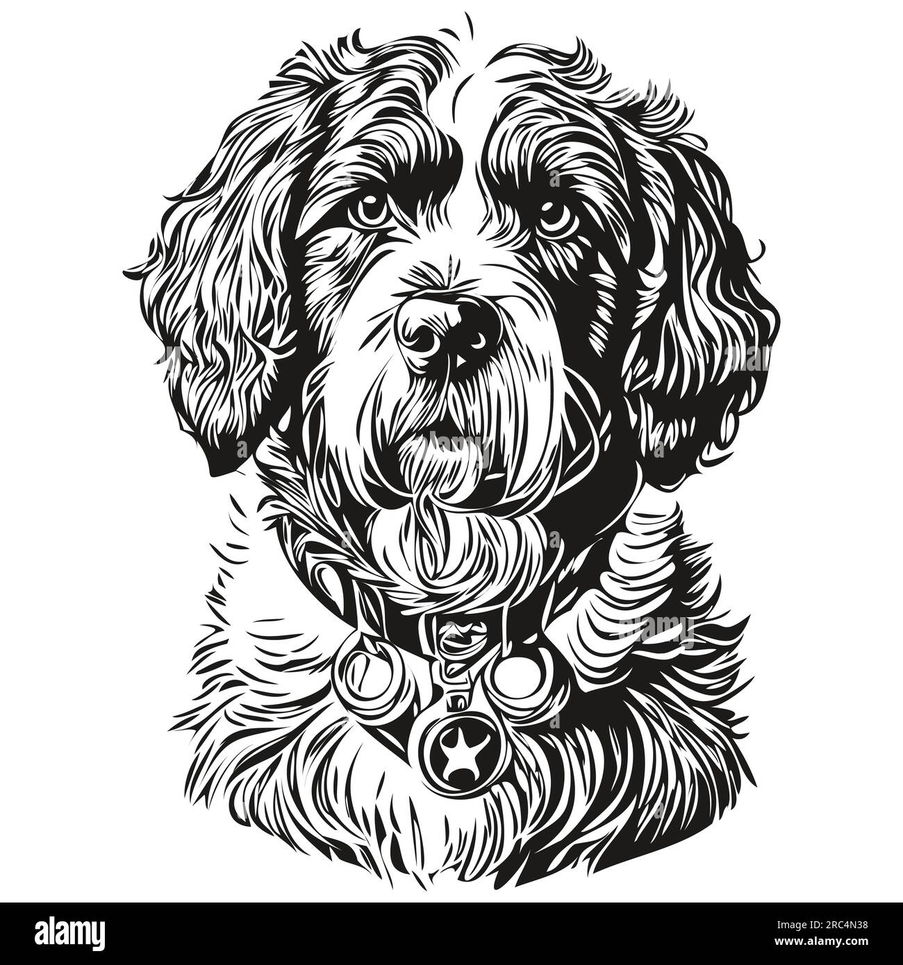 Water dog vector vectors Stock Vector Images - Alamy