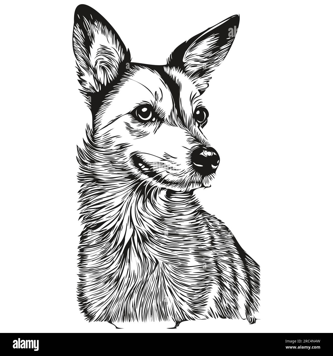 Black rat white background Stock Vector Images - Alamy