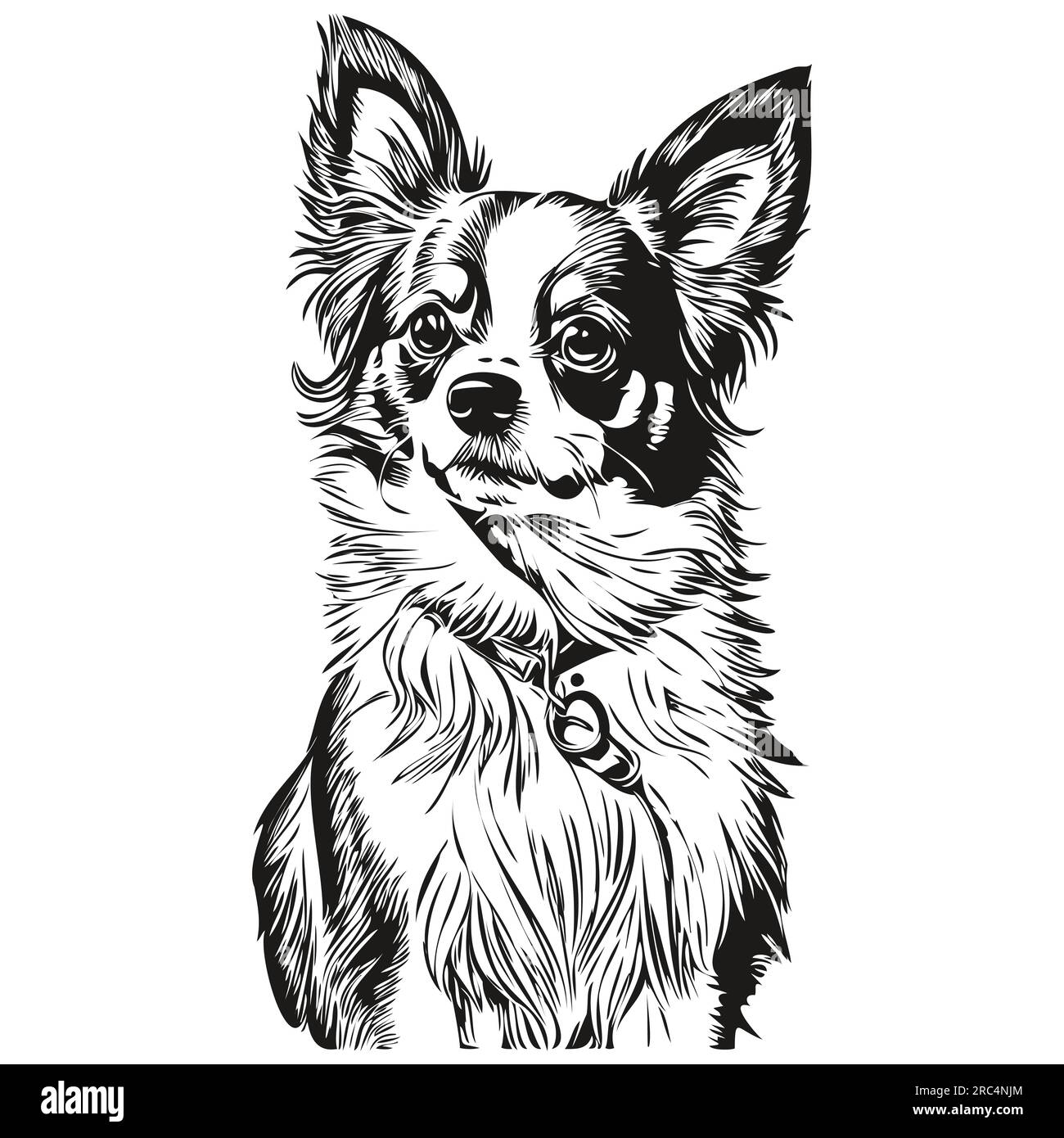 Papillon dog dog breed line drawing, clip art animal hand drawing ...