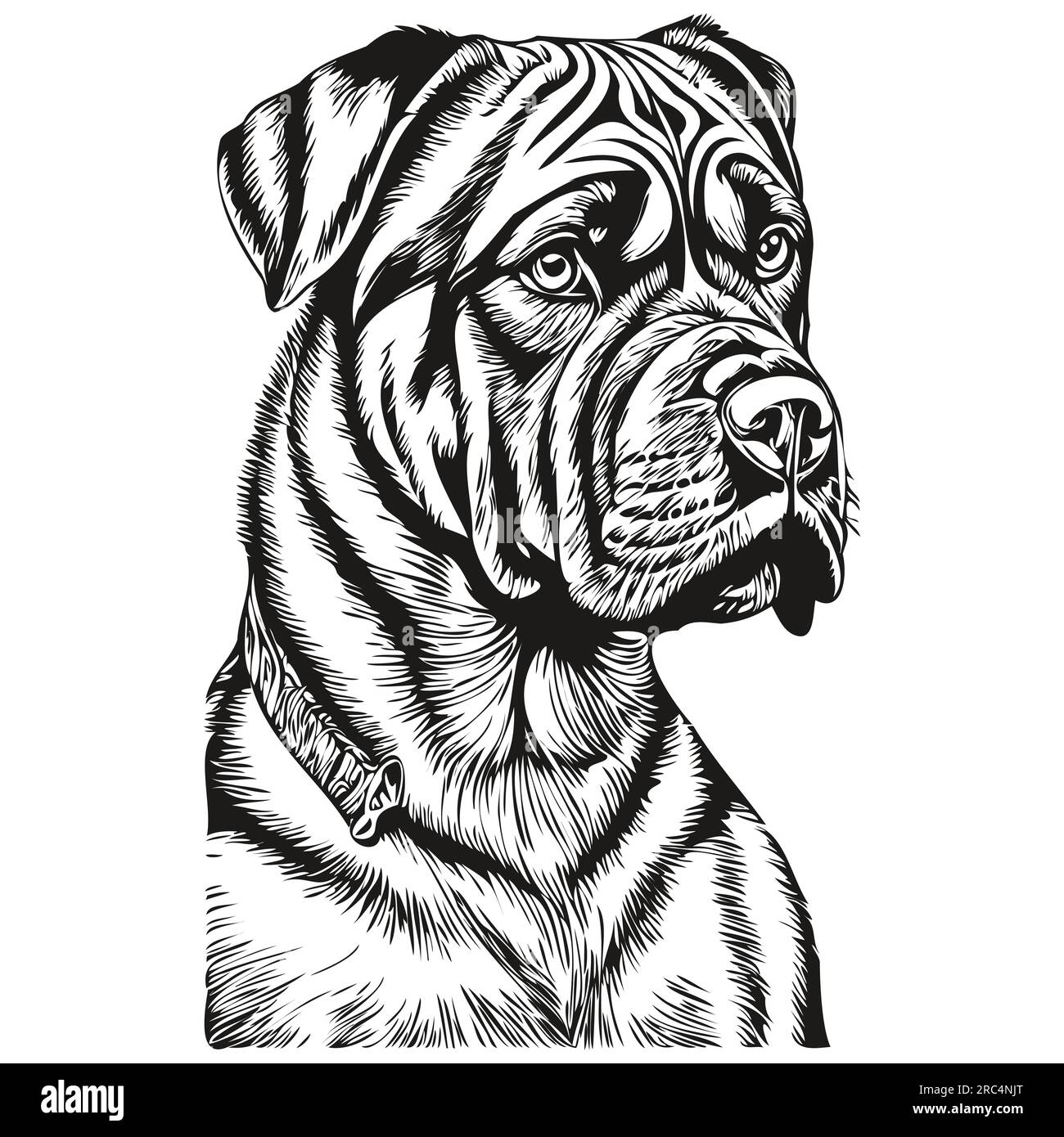 Neapolitan painting Cut Out Stock Images & Pictures - Alamy