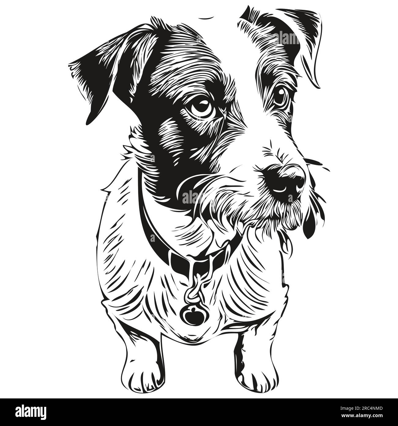 Portrait parson russell terrier Stock Vector Images - Alamy