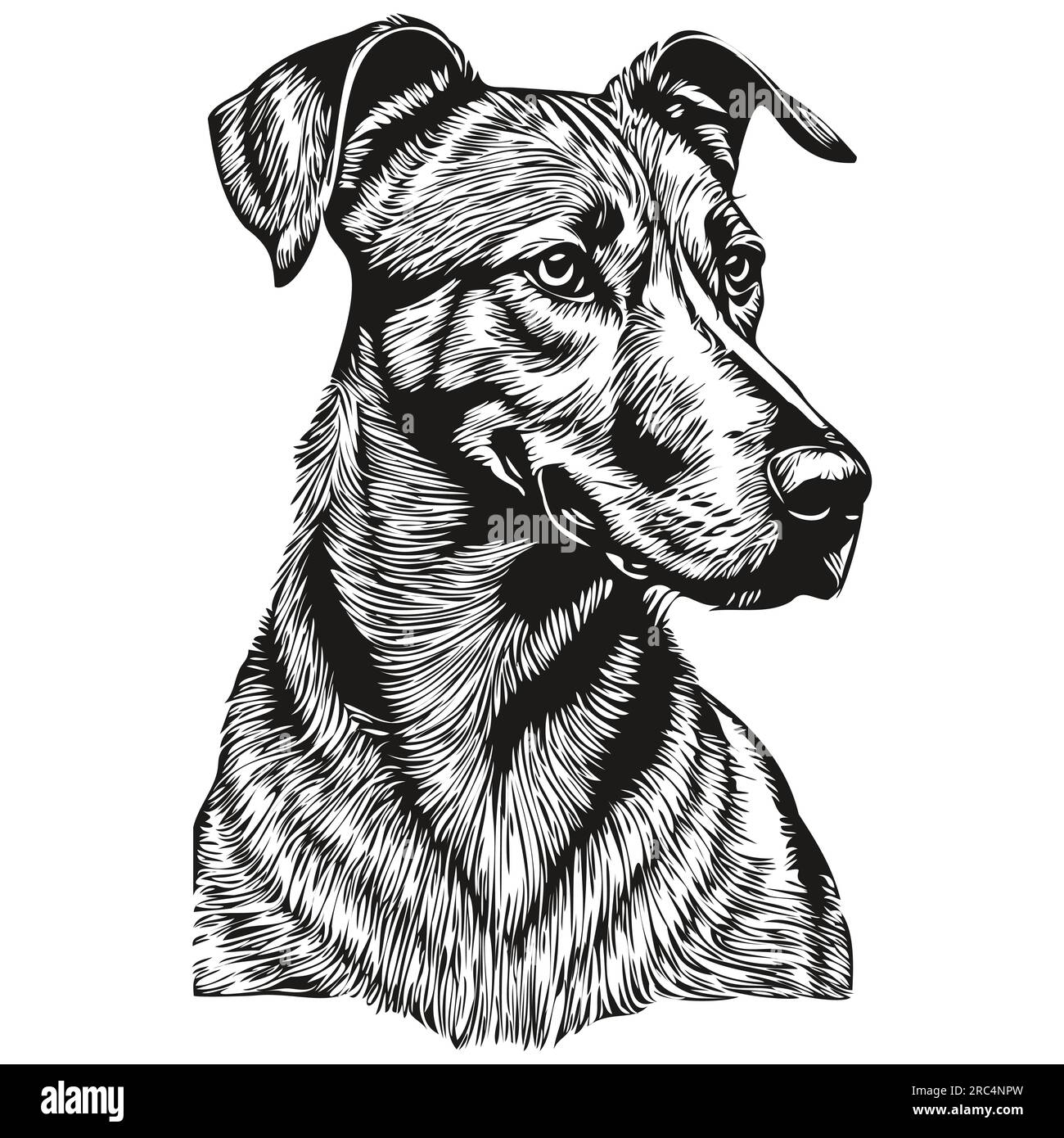 Rhodesian ridgeback silhouette Cut Out Stock Images & Pictures - Alamy