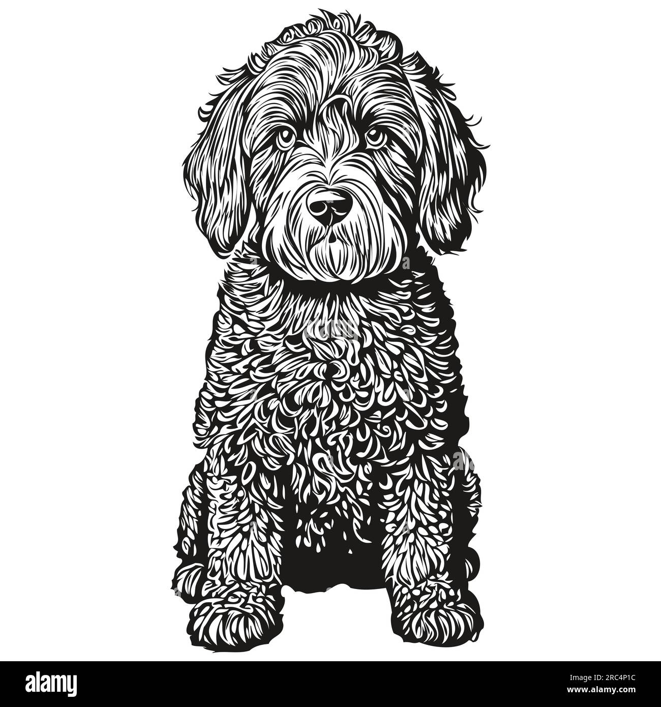 Portuguese water dog portrait Stock Vector Images - Alamy
