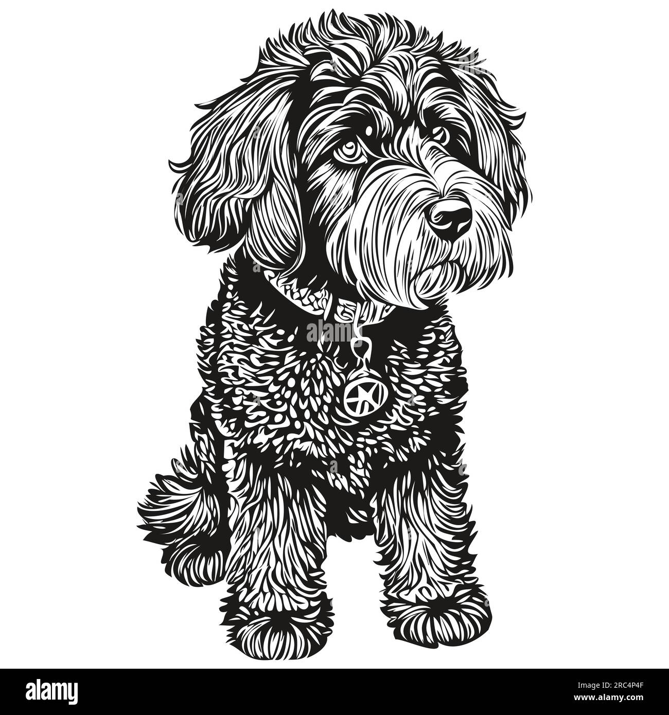 Portuguese water dog portrait Stock Vector Images - Alamy
