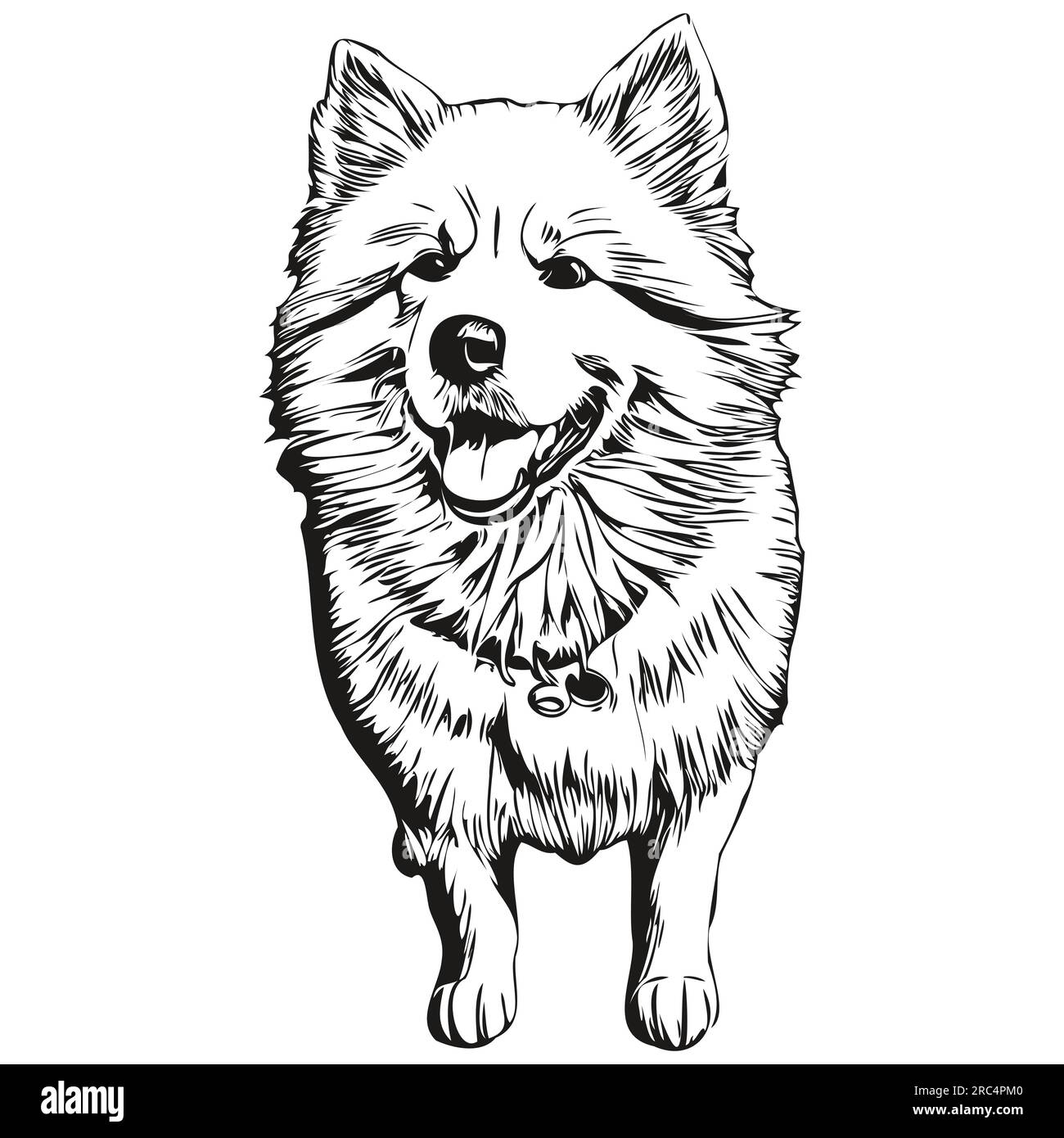 Samoyed dog breed line drawing, clip art animal hand drawing vector ... Samoyed dog breed line drawing, clip art animal hand drawing vector ...