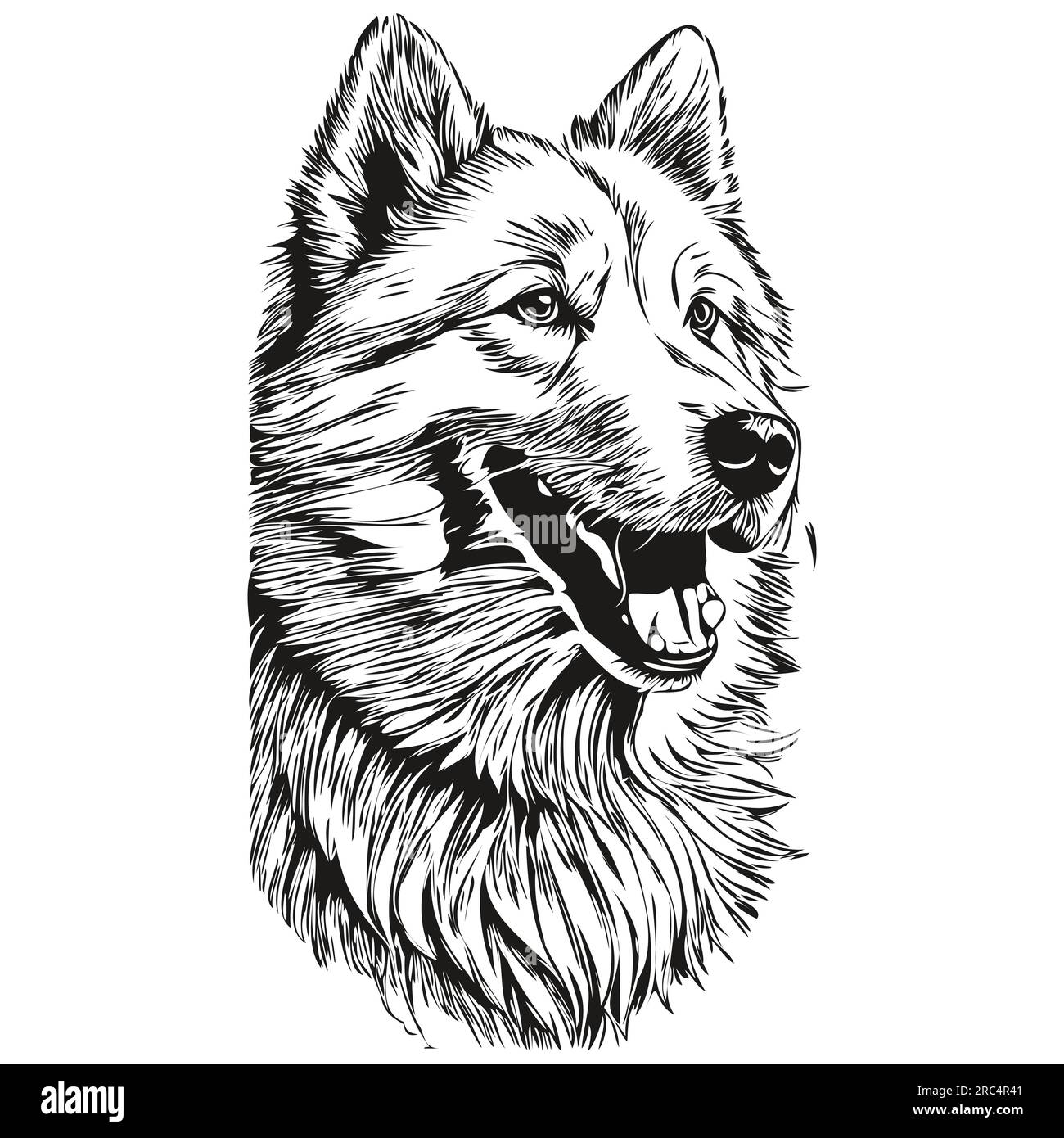 White samoyed vintage Stock Vector Images - Alamy