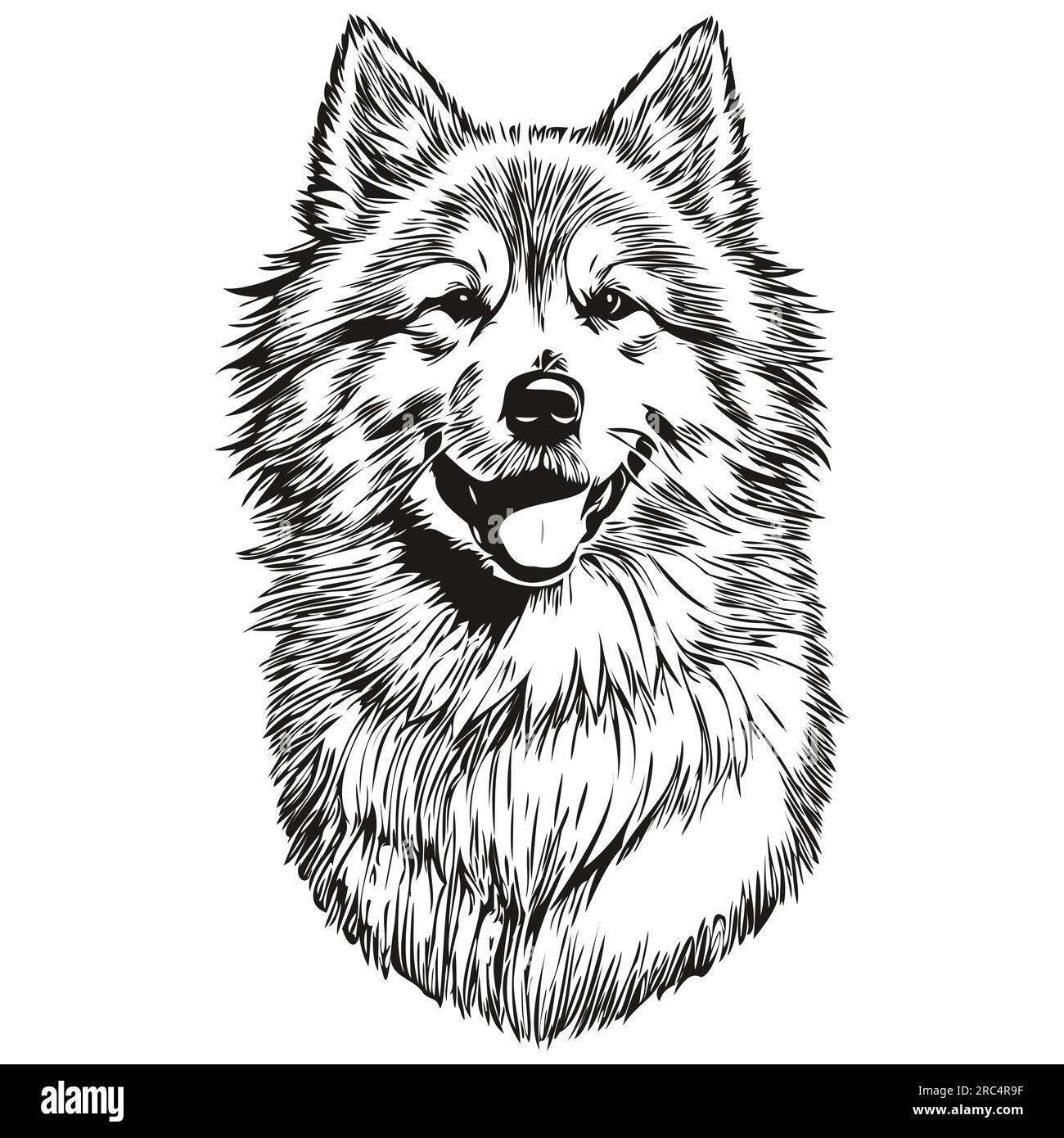 White samoyed vintage Stock Vector Images - Alamy