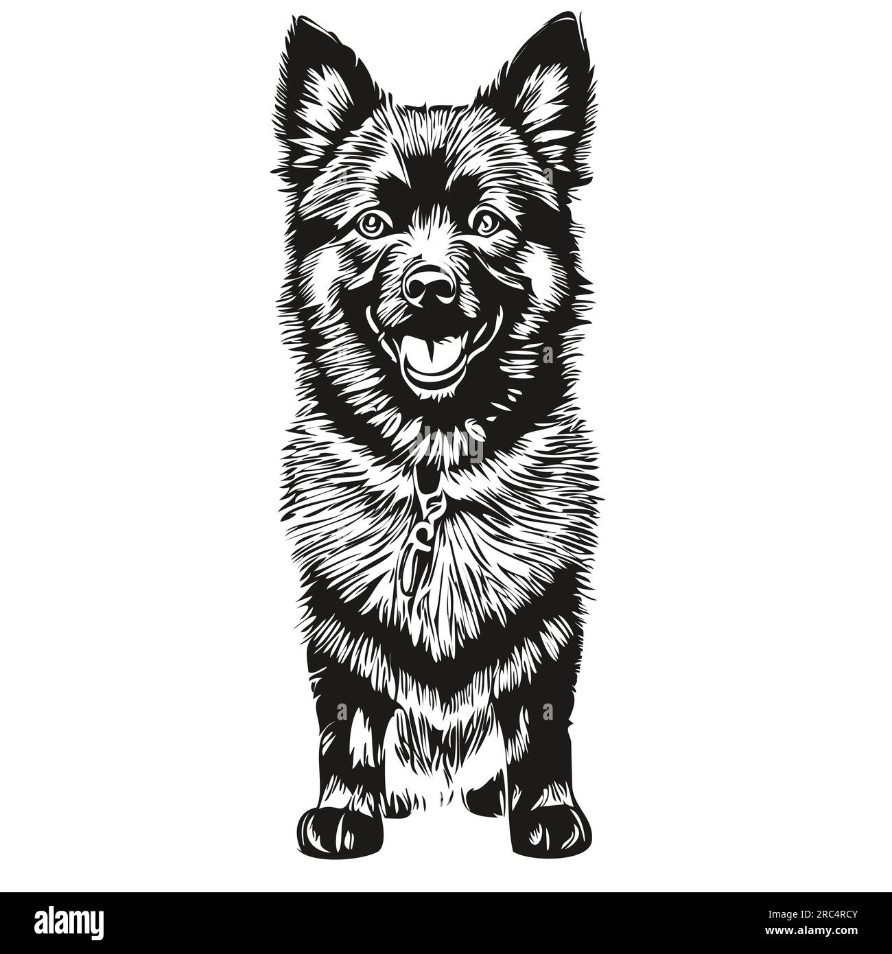 Schipperke dog silhouette hi-res stock photography and images - Alamy