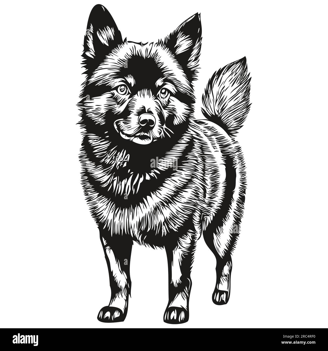 Schipperke Stock Vector Images - Alamy