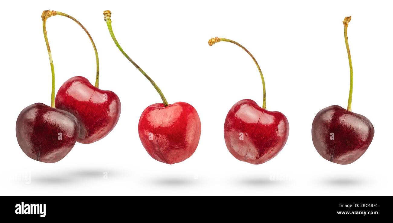 Various ripe cherries on a white isolated background. Cherries are ...
