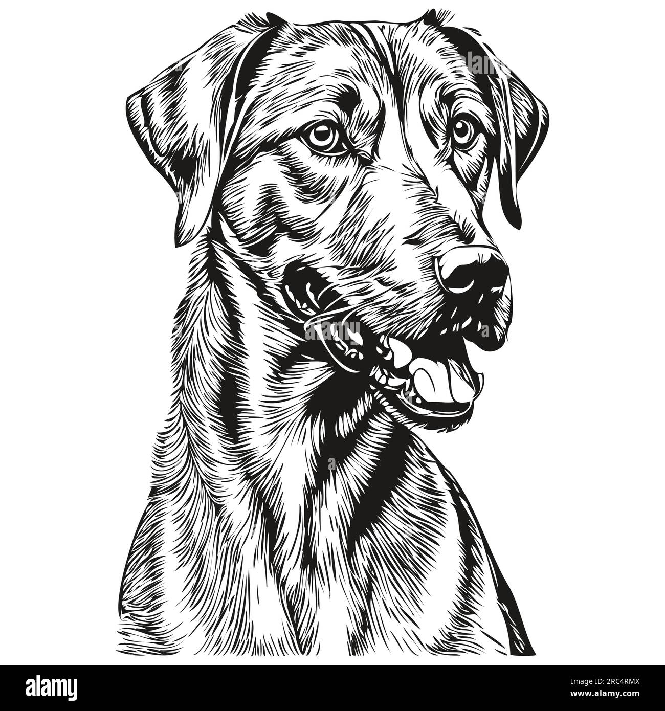 Rhodesian ridgeback silhouette Cut Out Stock Images & Pictures - Alamy