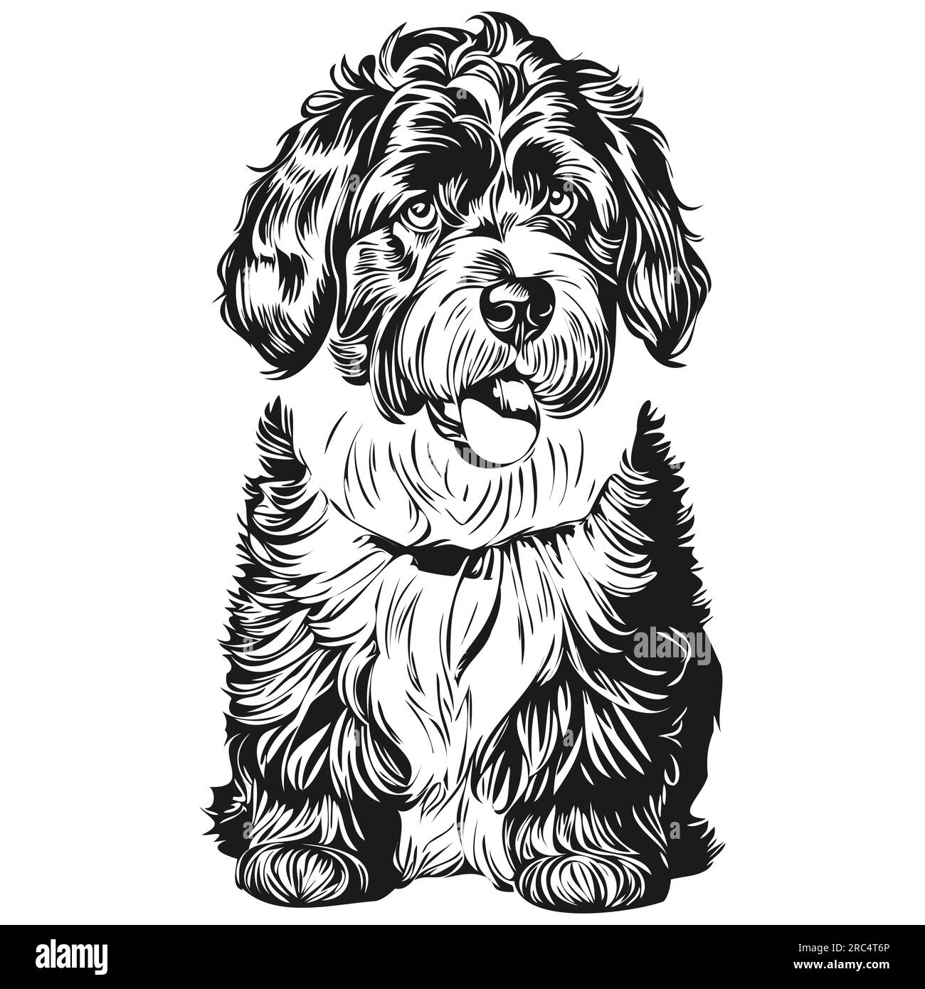 Portuguese water dog portrait Stock Vector Images - Alamy