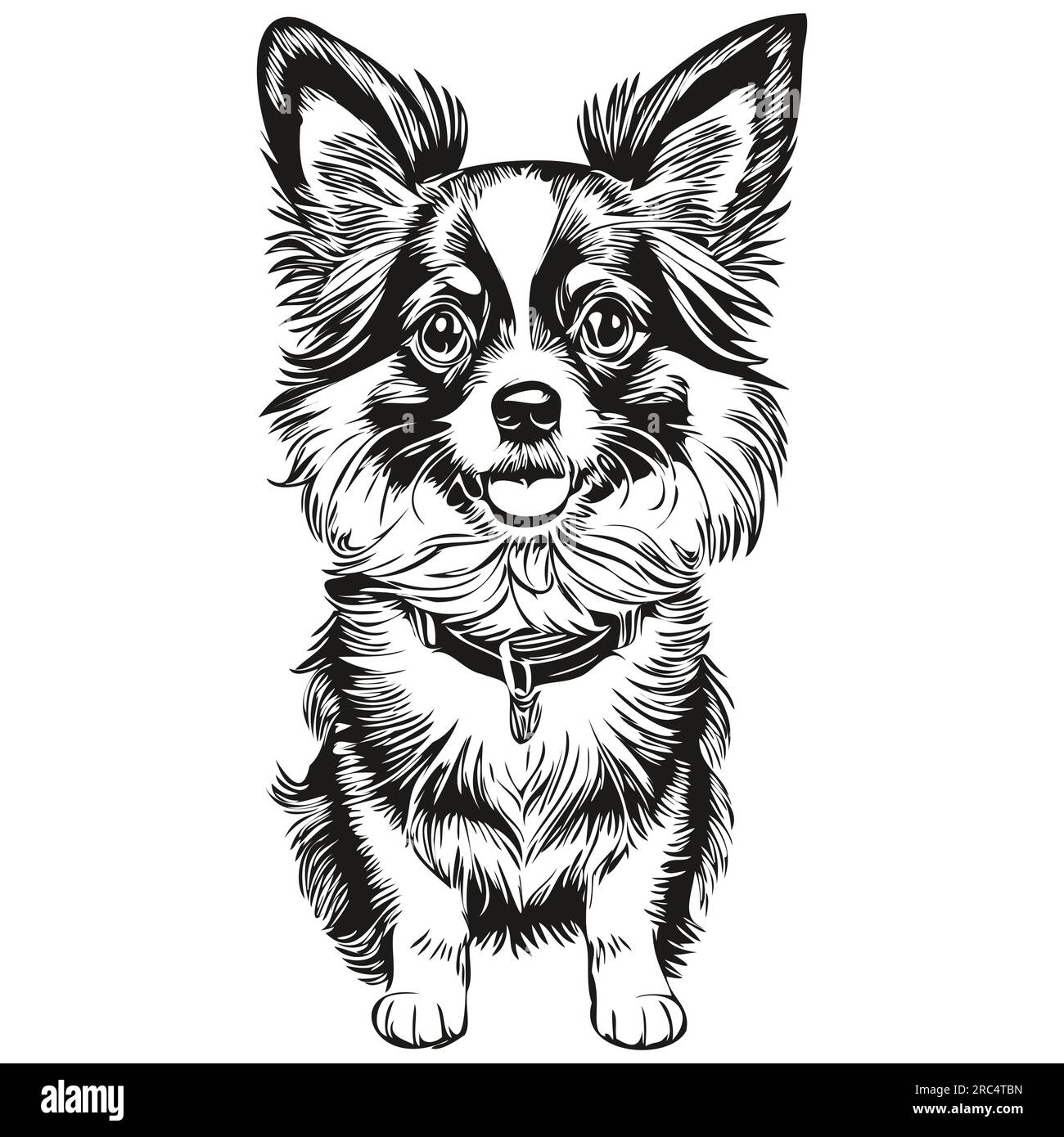 Papillon dog dog vector face drawing portrait, sketch vintage style ...