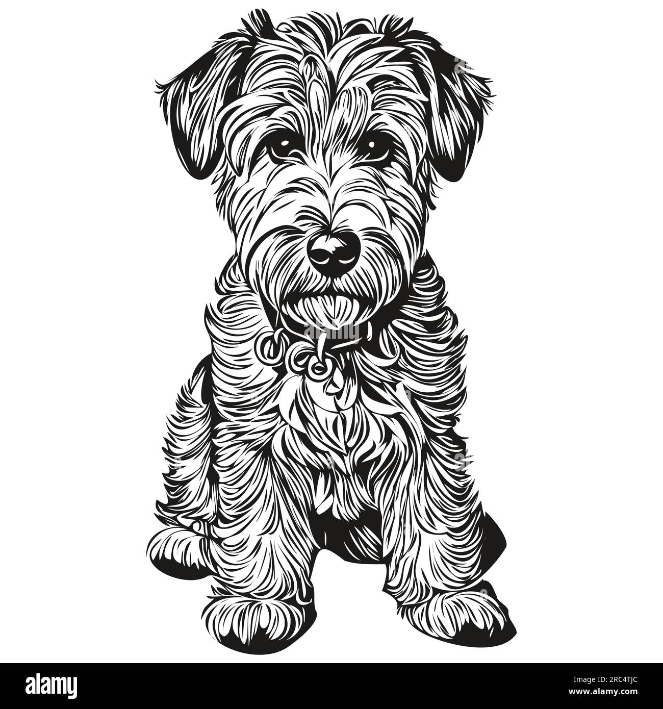 Soft coated vector vectors hi-res stock photography and images - Alamy