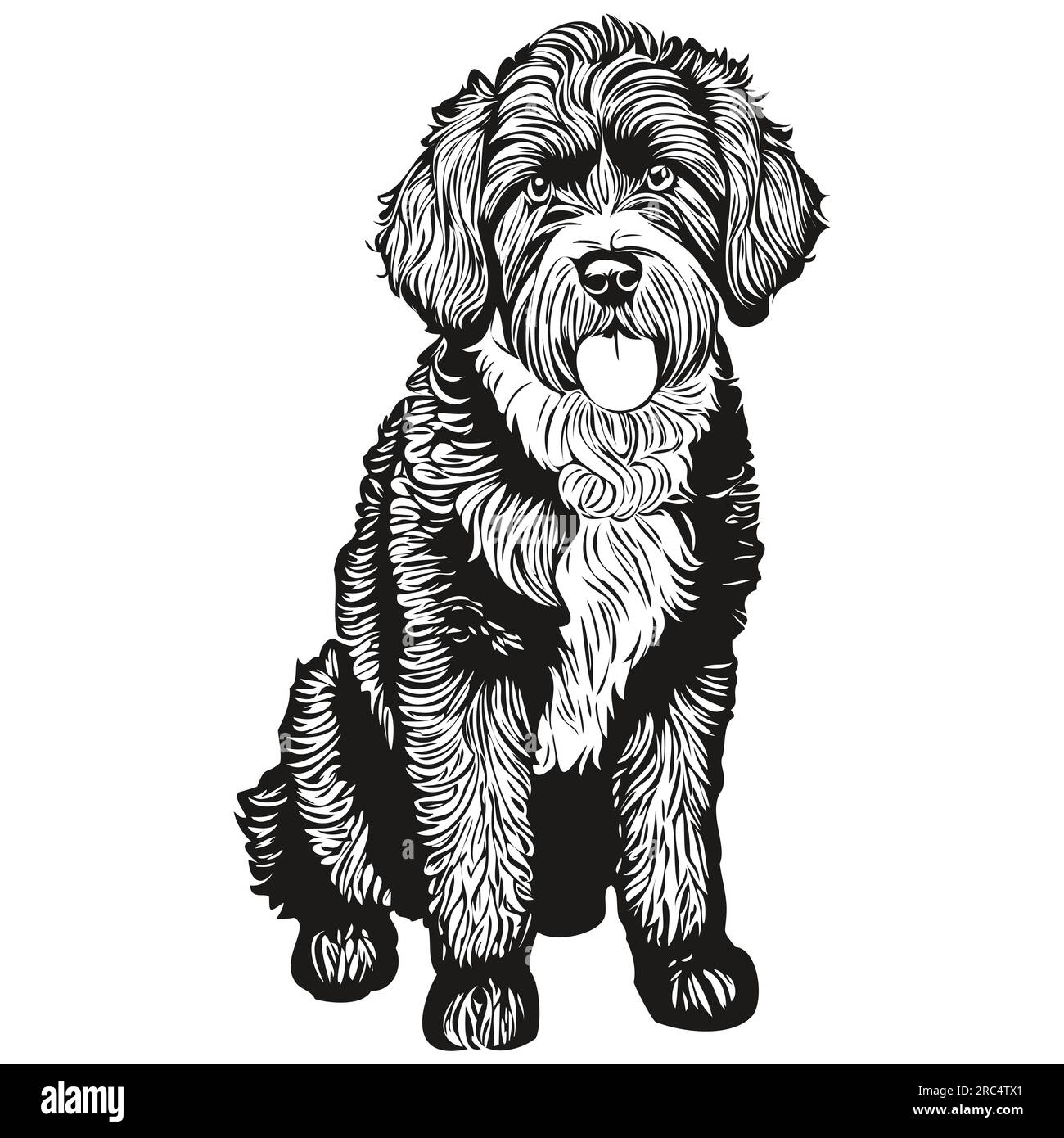 Portuguese water dog portrait Stock Vector Images - Alamy