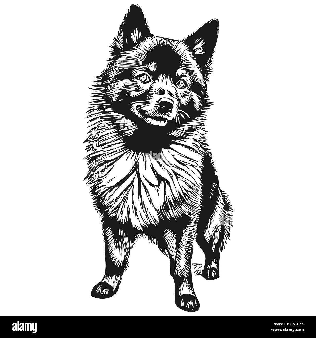 Schipperke dog silhouette hi-res stock photography and images - Alamy