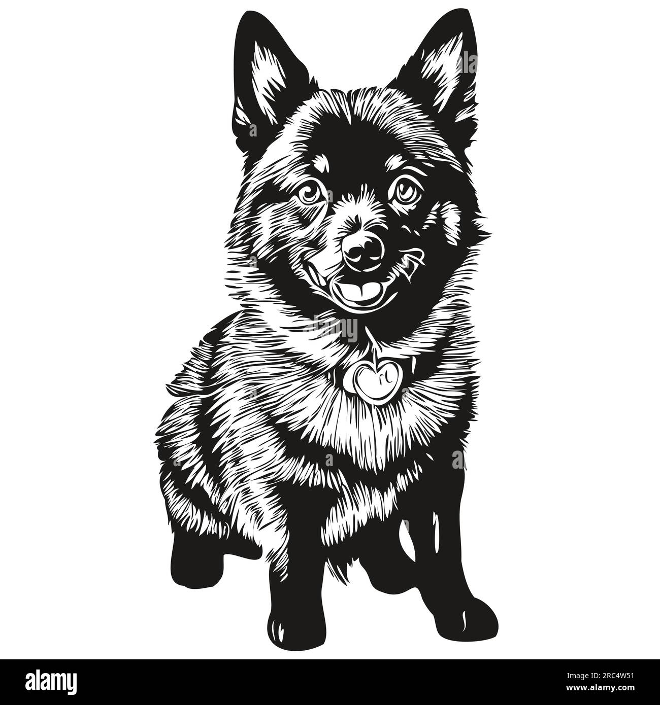 Schipperke Stock Vector Images - Alamy