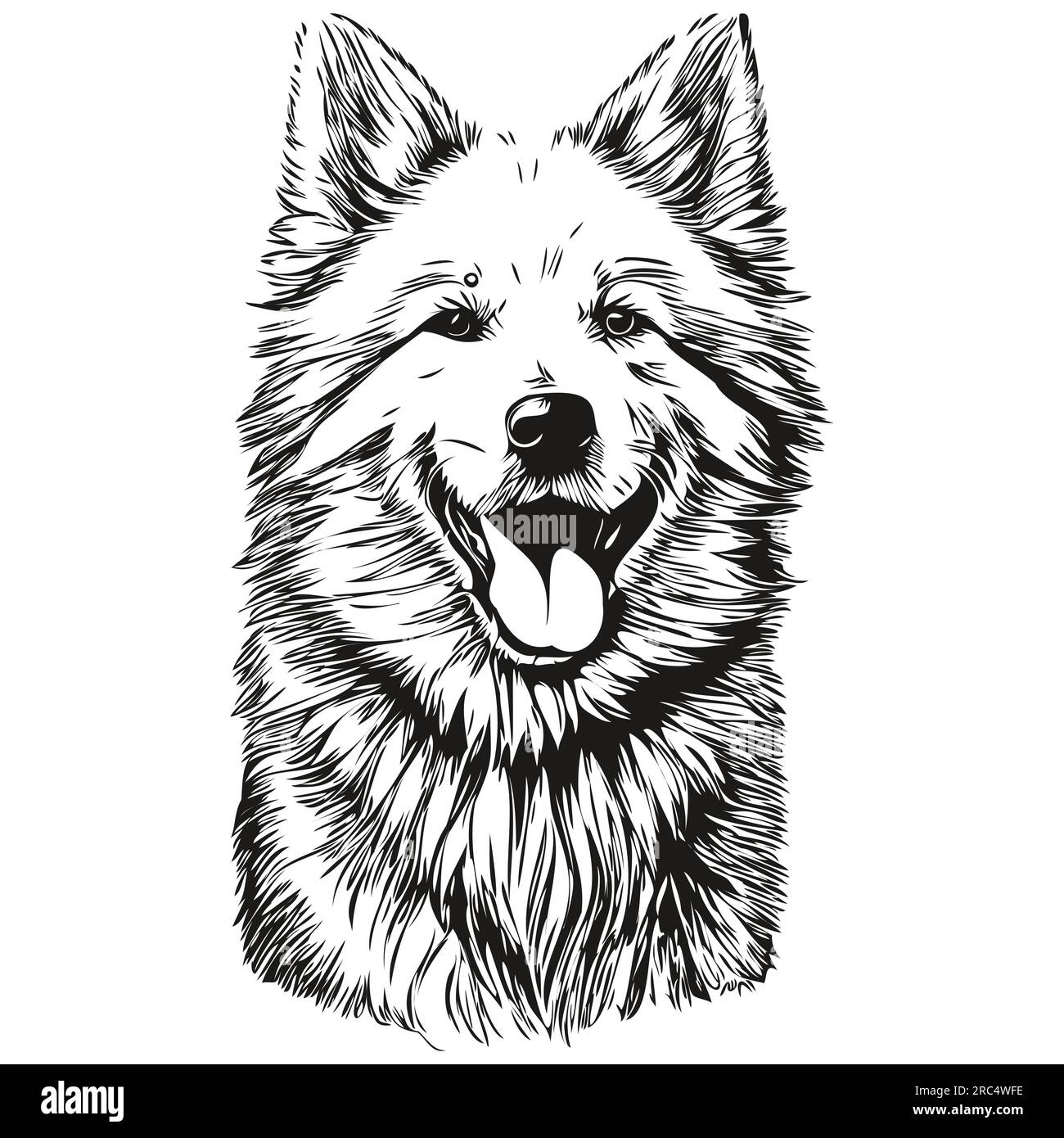 Samoyed dog head line drawing vector,hand drawn illustration with ...