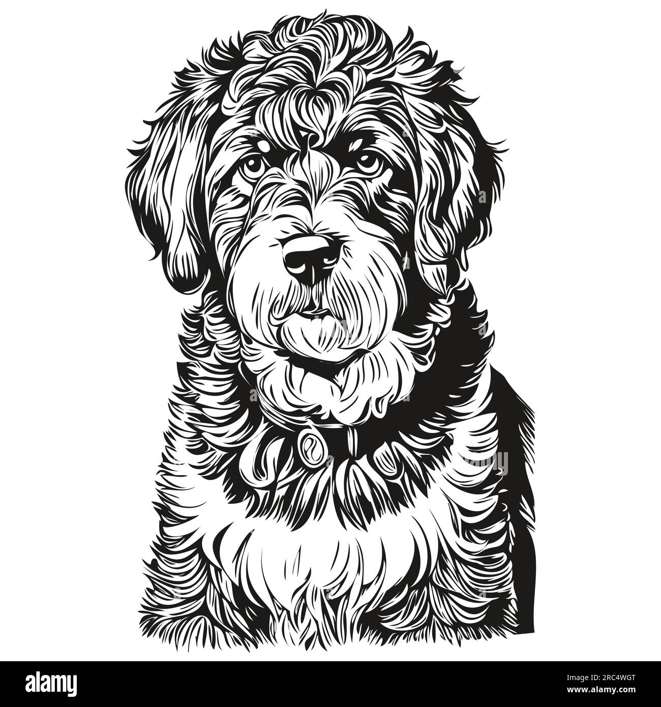 Portuguese water dog portrait Stock Vector Images - Alamy