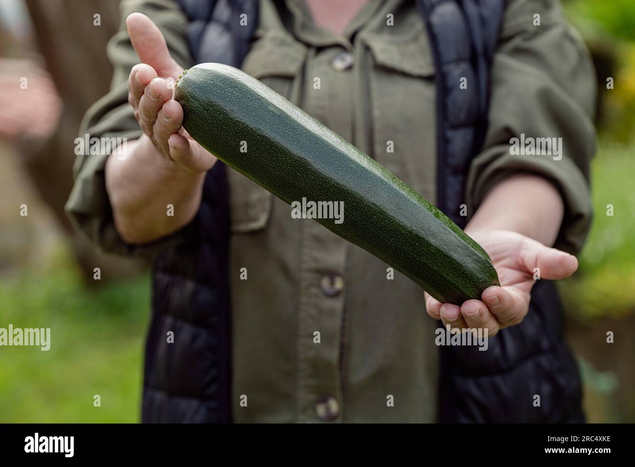 Crop unrecognizable female farmer in casual clothes holding big ...