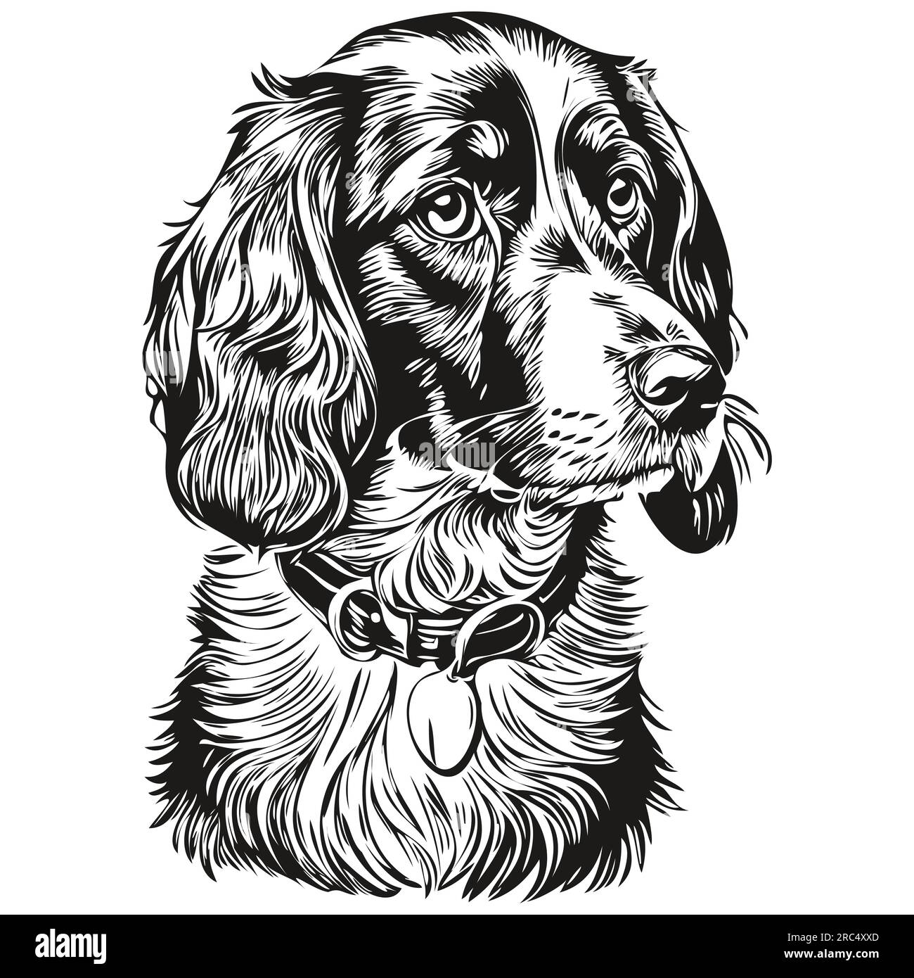 Funny cocker spaniel Stock Vector Images - Alamy