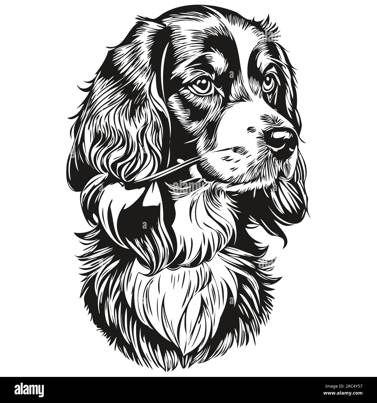 Cocker breed Stock Vector Images - Alamy
