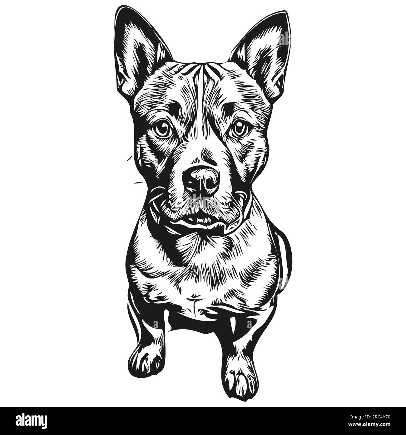 Staffordshire terrier painting hi-res stock photography and images - Alamy
