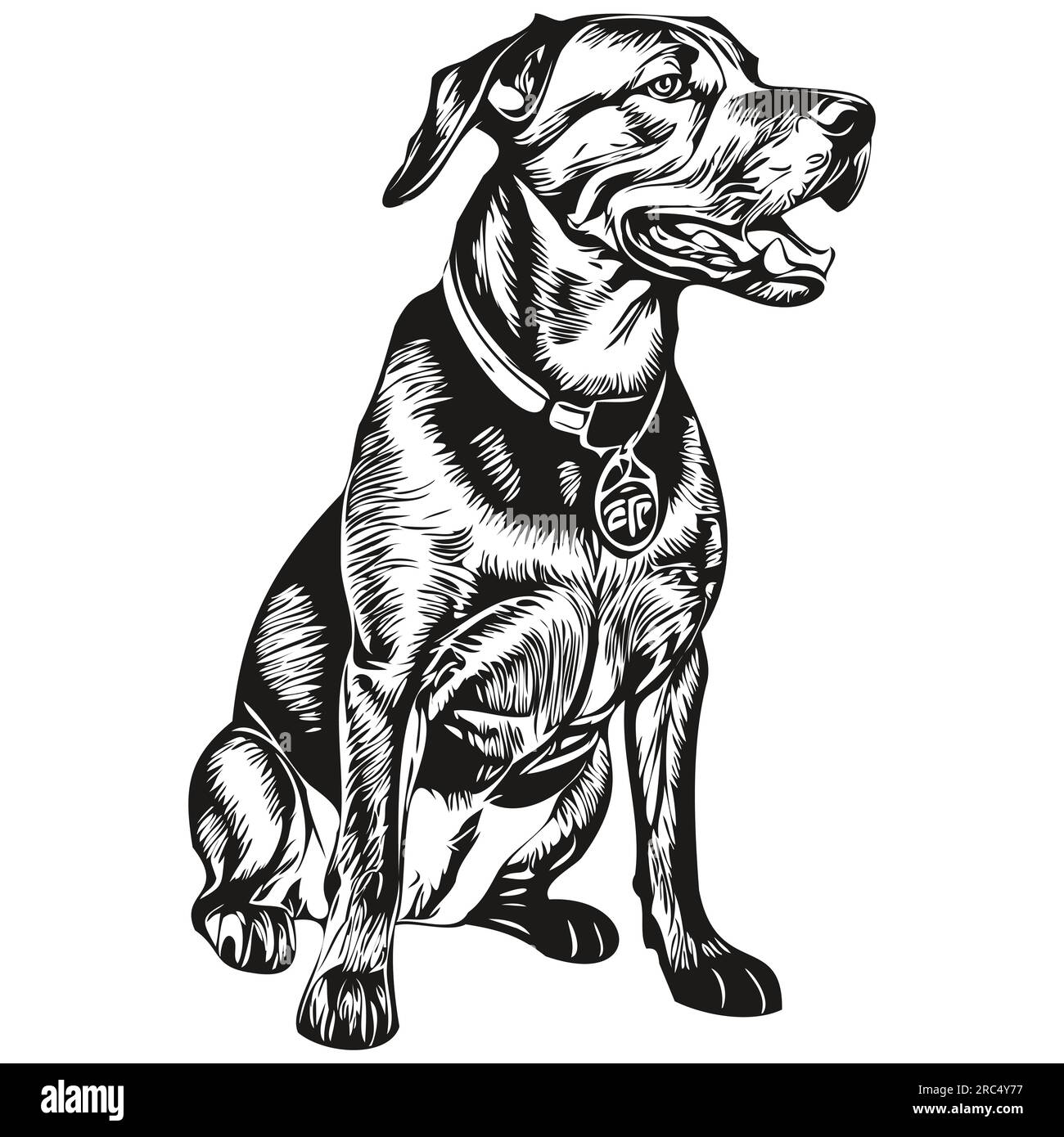 Rhodesian ridgeback silhouette Cut Out Stock Images & Pictures - Alamy
