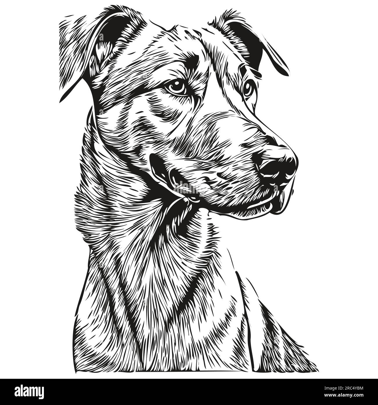 Rhodesian ridgeback silhouette Cut Out Stock Images & Pictures - Alamy