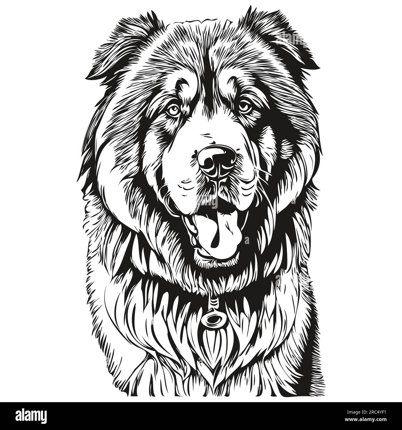 Tibetan mastiff dog Stock Vector Images - Alamy