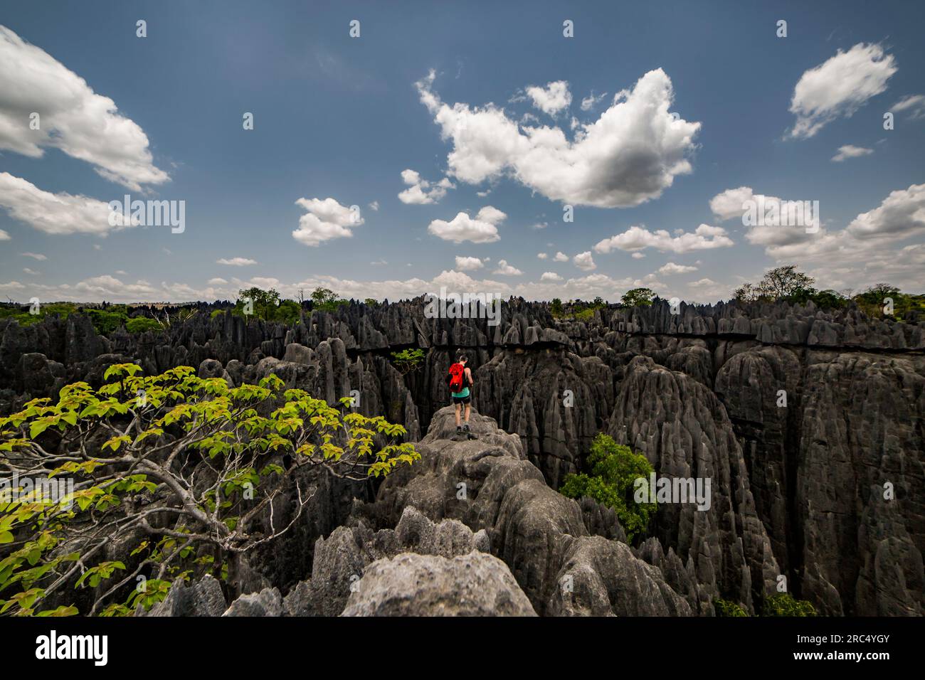 Back view of anonymous male traveler standing on edge of rocky cliff ...