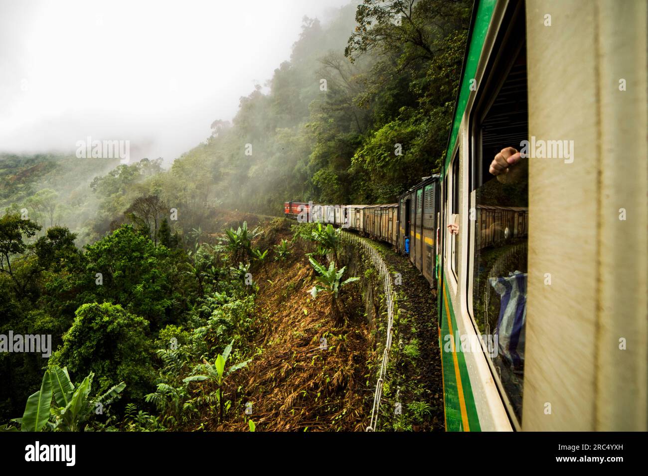 Side view of train driving on railroad among green trees in sloppy ...