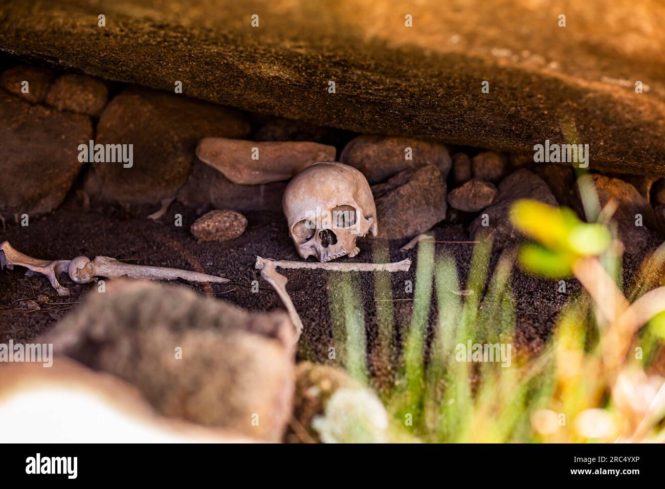 Dry human skulls and bone remains in cave shade on rocky ground with ...