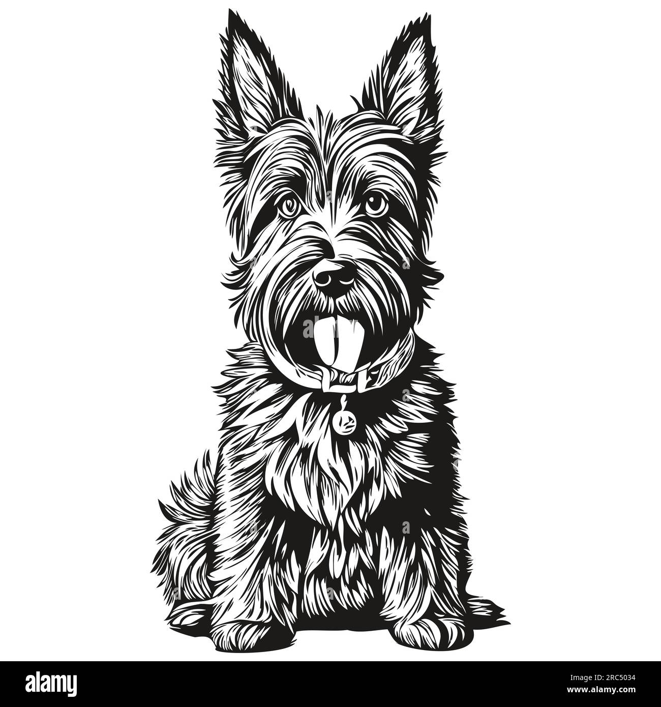 Black Scottish Terrier Drawing