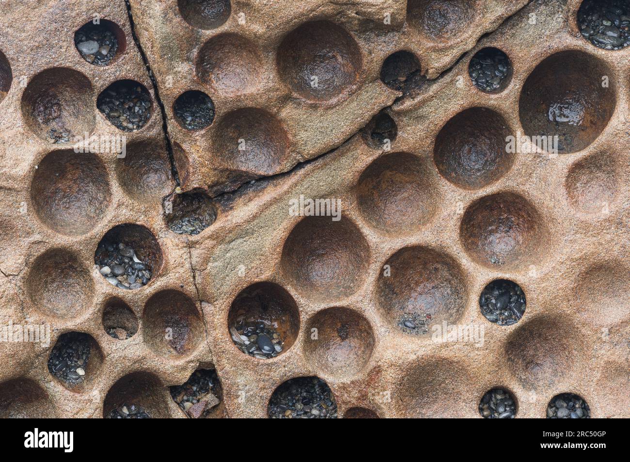 Close up of circled pattern formed by clams while some tiny beach ...