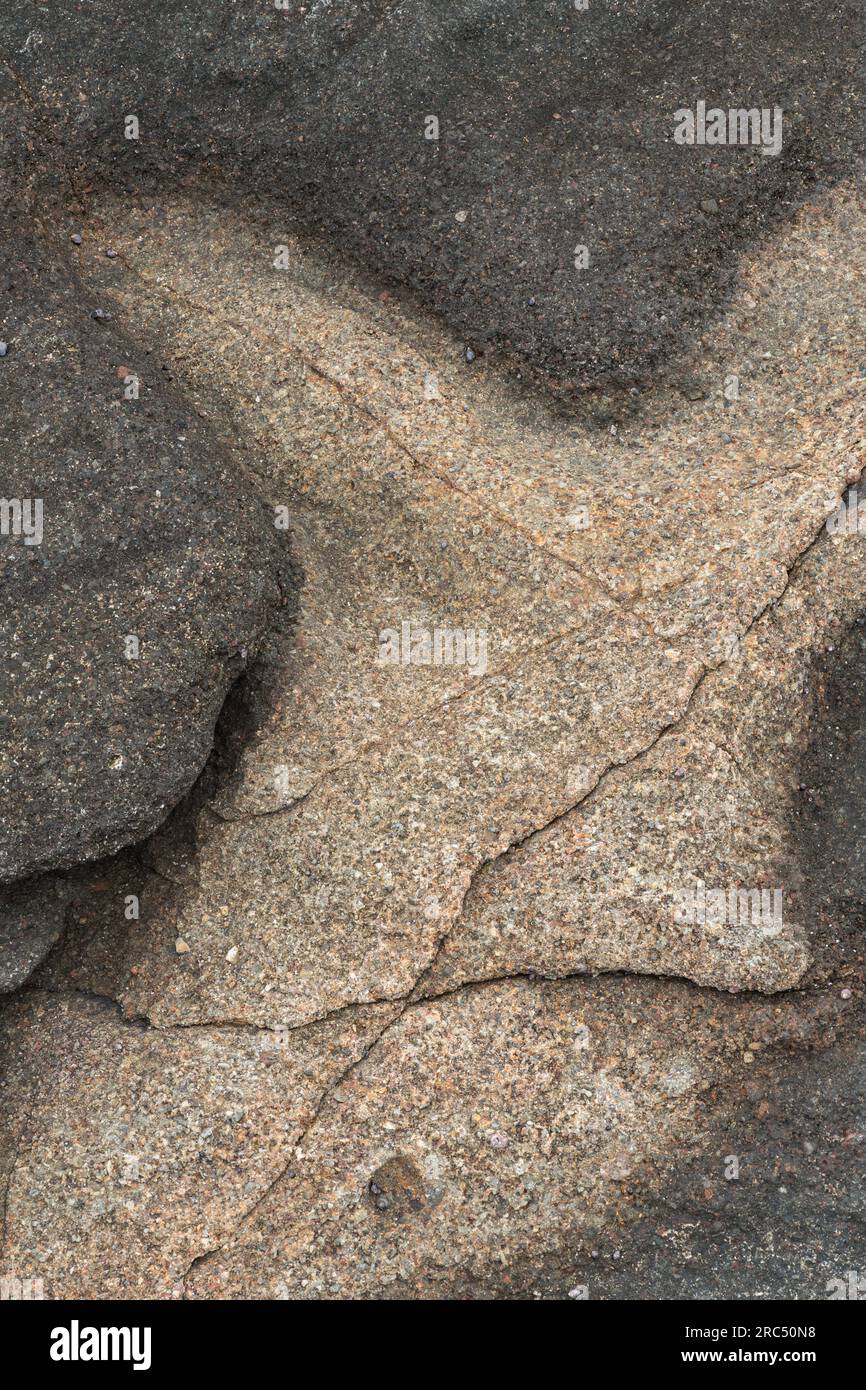 Close-up of 'Yachats basalt' on the Oregon coast; derived from ancient ...